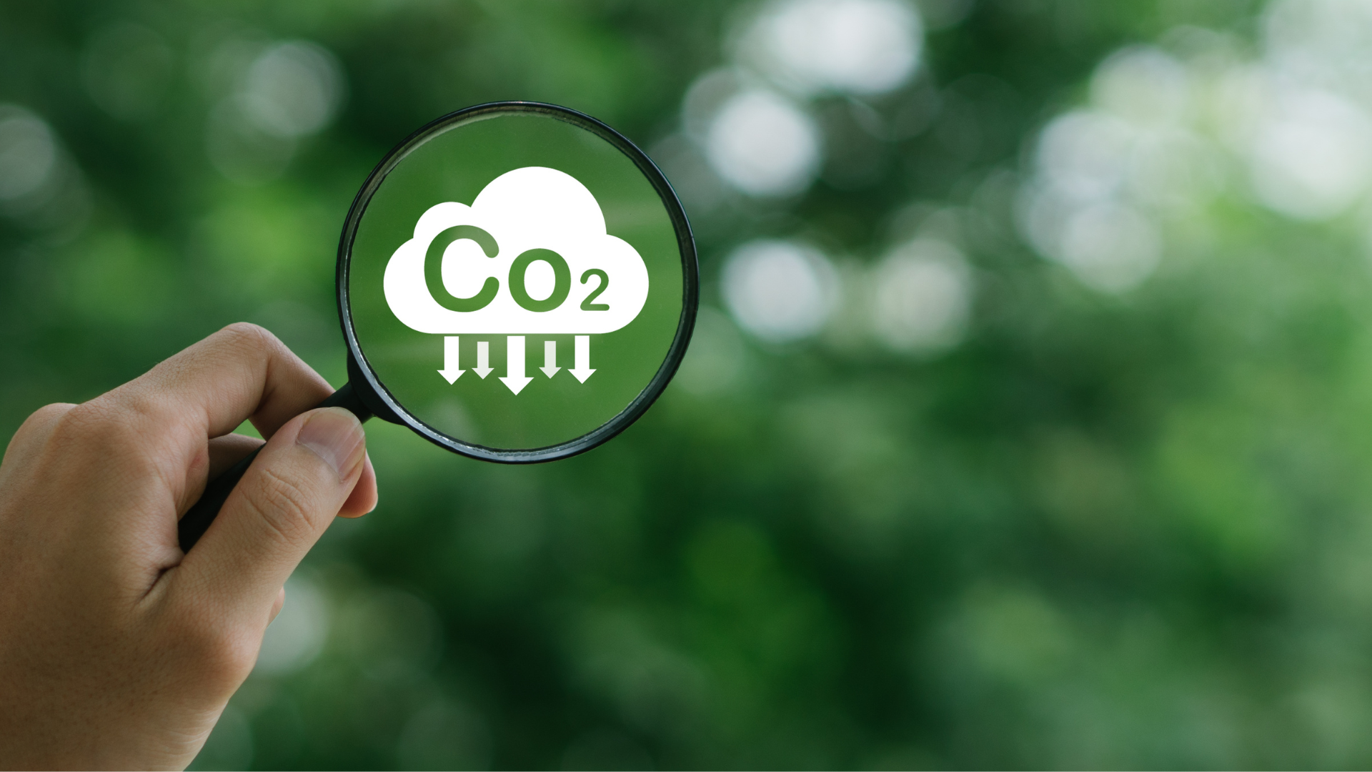 Three Steps for Meeting Carbon-Reduction Goals | BOMA International